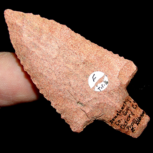 Artifacts Guide- Salmon Pickwick